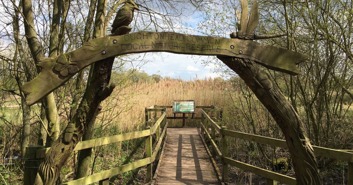 Hitchin - Oughtonhead Flower Moon Evening Walk (4.5 miles / 7.5km ...