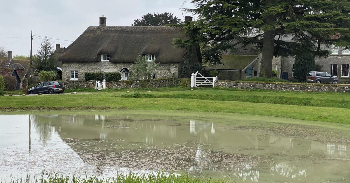 Ashmore, Compton Abbas and Bluebells - Ramblers