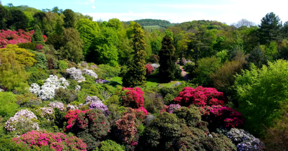 Markinch, Star Moss & Balbirnie Park Circular - Ramblers