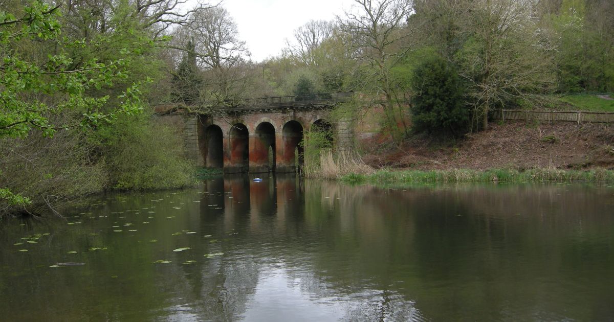 ICONIC HAMPSTEAD HEATH - Ramblers