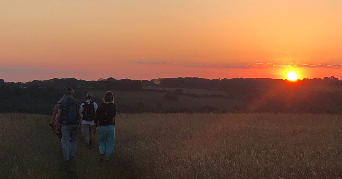 Colden Common Circular - Ramblers