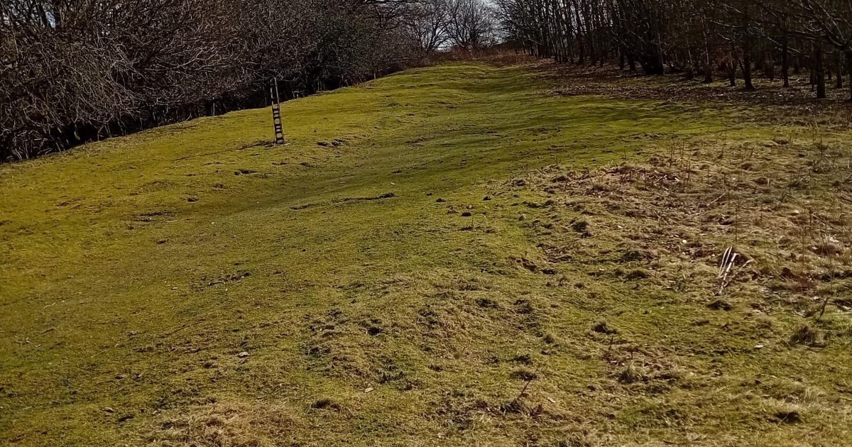 Glenmavis & Rawyards Park - Ramblers