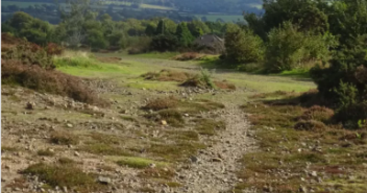 Up & Around Hingston Down