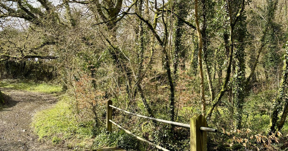 Walk around Sourton Tors and Rattlebrook Railway - Ramblers