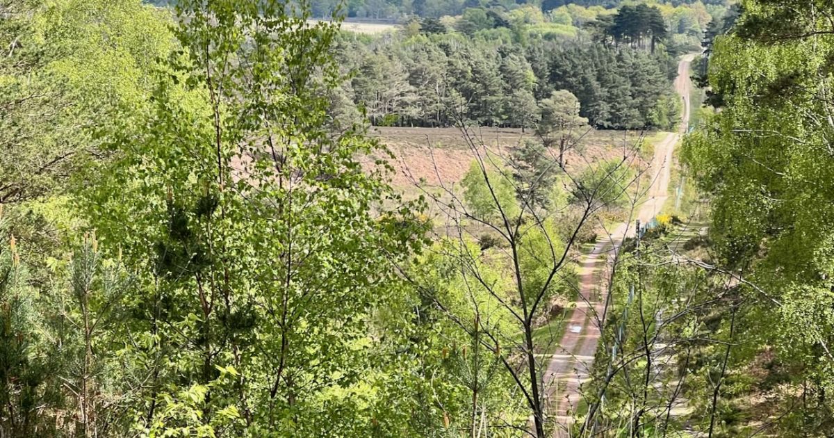 Normandy to Ash Green - Ramblers