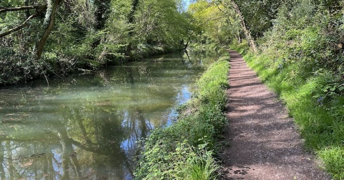 Crookham and Dogmersfield Park - Ramblers