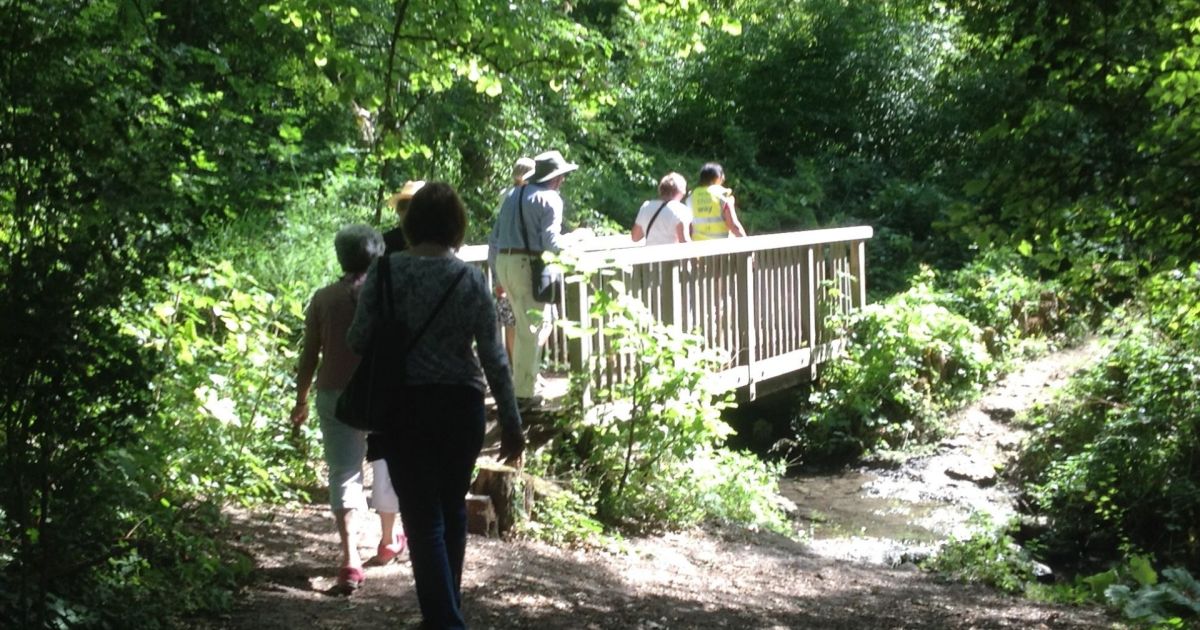 Mote Park Long and Short Walks