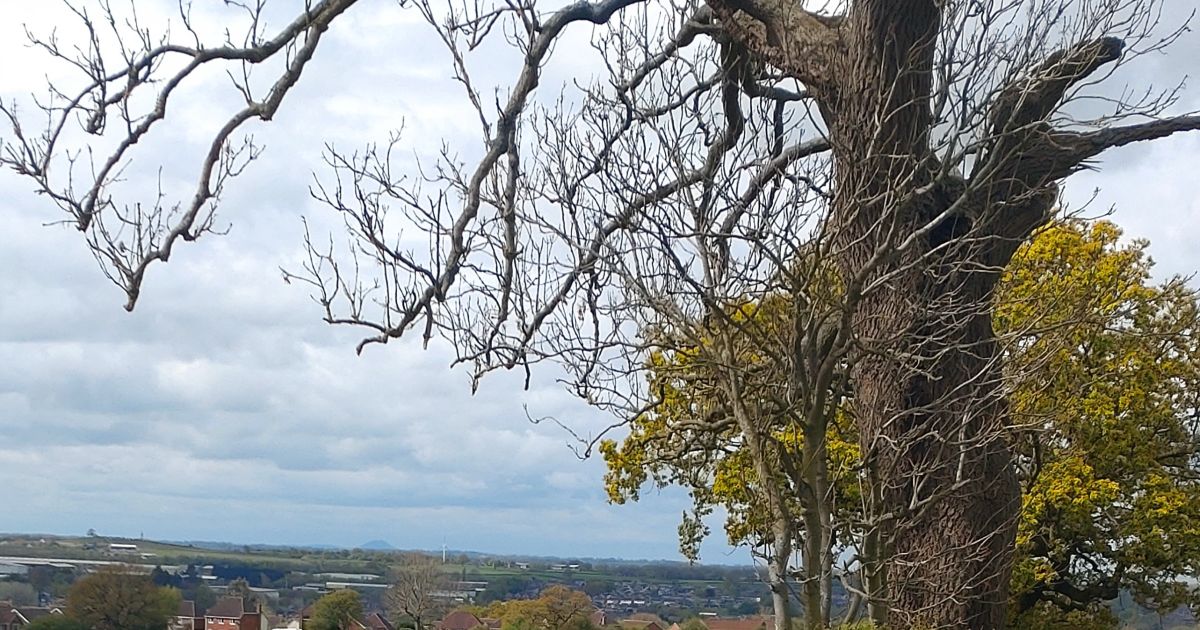 Stone to Cotwalton and back - Ramblers