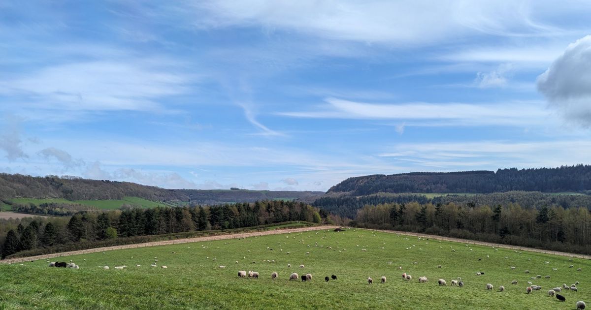 A circular walk round Troutsdale starting from Cockmoor Hall cark park ...