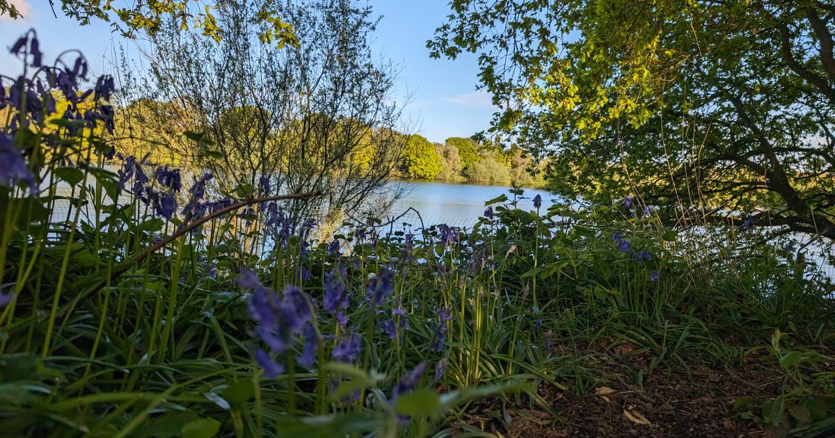 Middlewick Donyland Woods - WalkMyWay - Ramblers