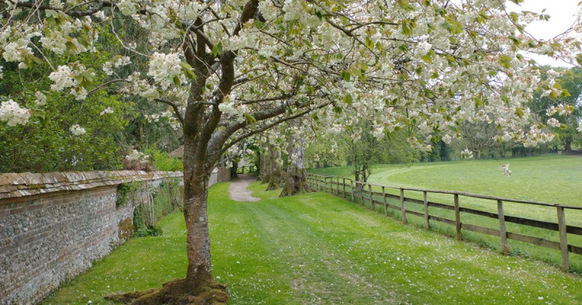 Preston Candover circ. - Ramblers