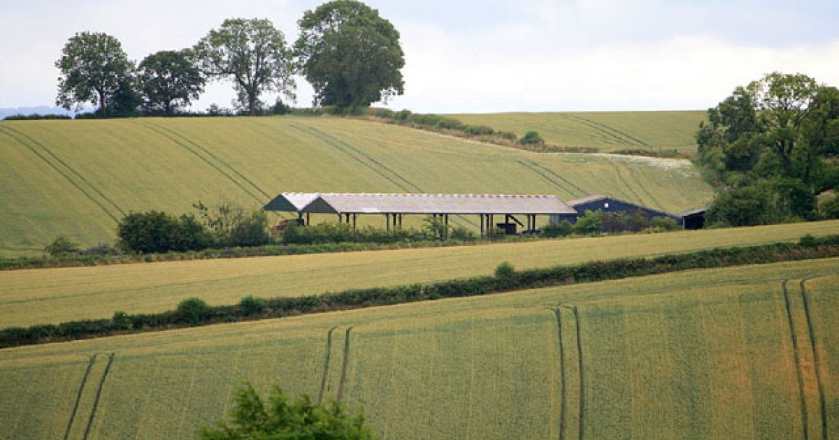 Wenlock Edge Circular - Ramblers