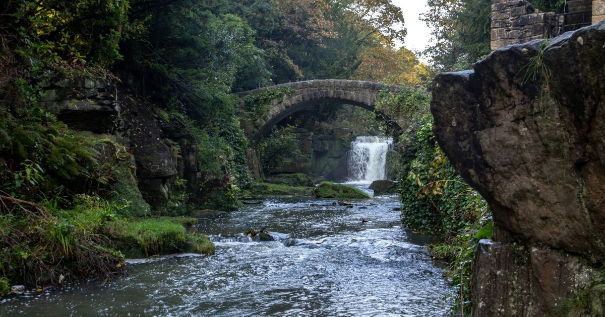 Jesmond Dene to Paddy Freeman's Park Circular