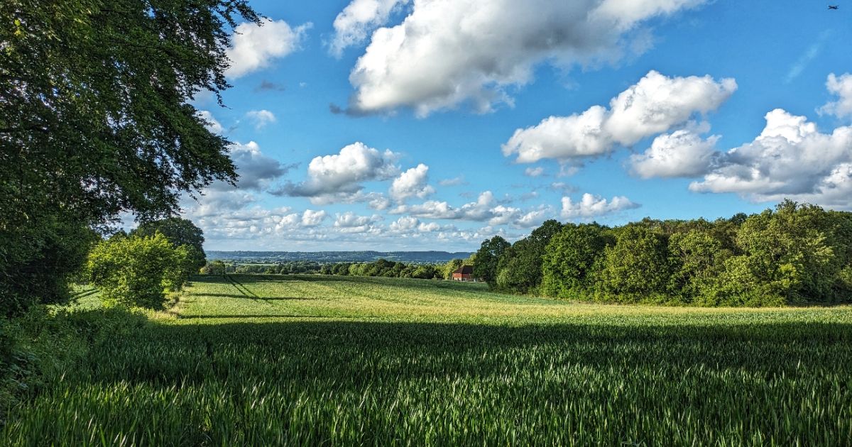 Paul S's Dormansland and Starborough Castle Evening Circular - Ramblers