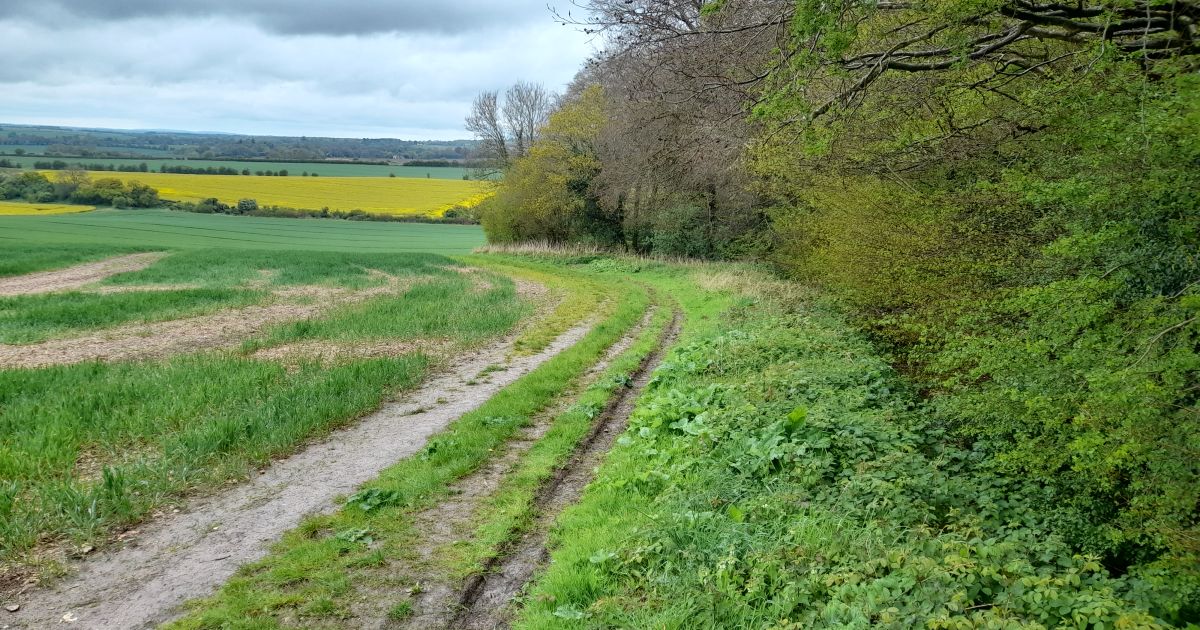 Woodcote to Goring and back - Ramblers