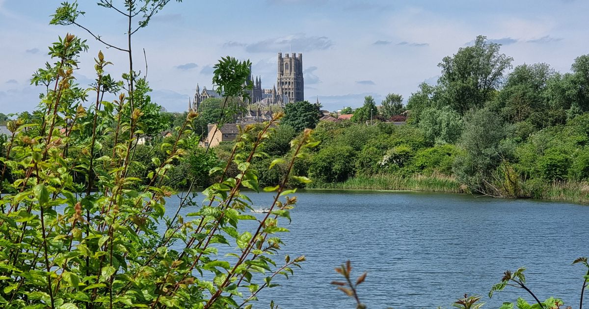 Ely - city landmarks, fields, trains and river - Ramblers