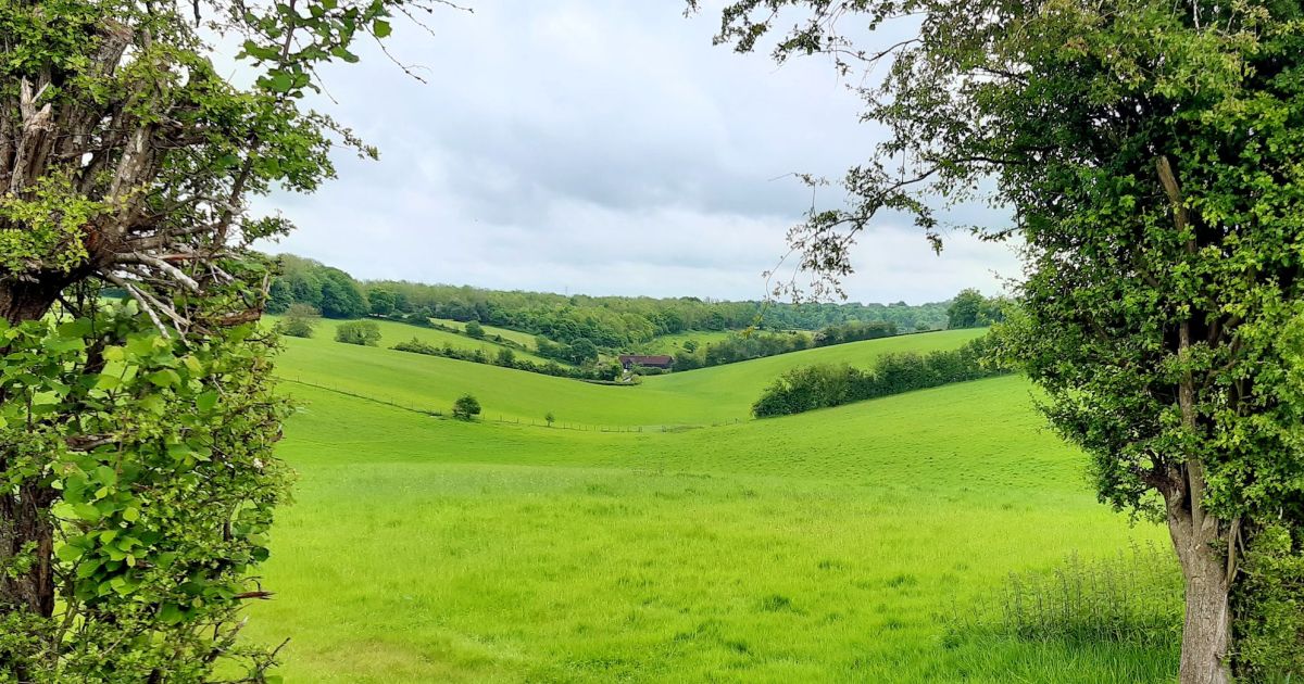 Circular walk from Ley Hill - Ramblers