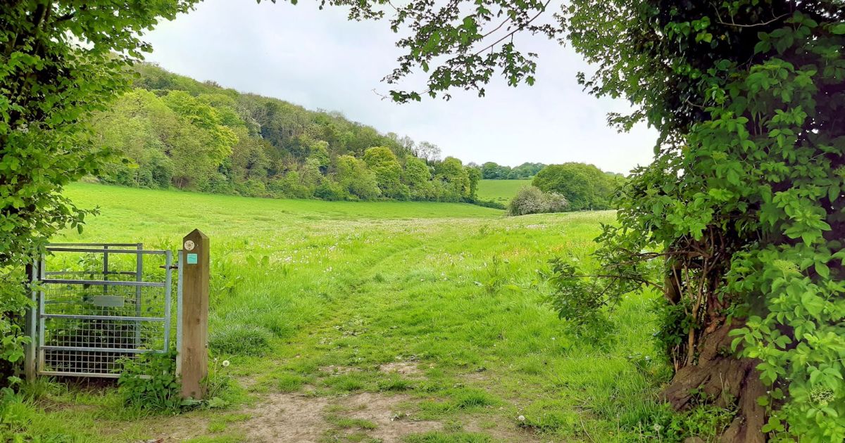 Undulating walk from Great Hampden - Woods, Fields, Views - Ramblers