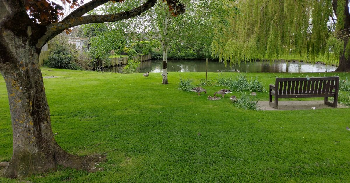 Wigginton (evening walk) - Ramblers