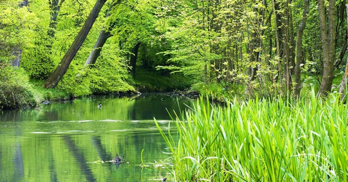 Bellsquarry Woods & Murieston Water Circular - Ramblers