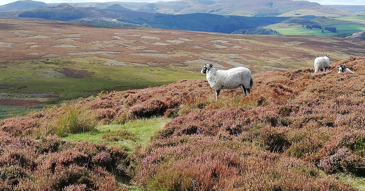 Fairholmes (Strenuous) - Ramblers