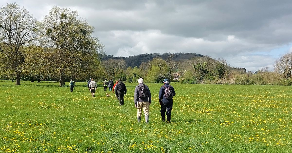 Evening Meal & Walk: Elmley Castle and The Queen Elizabeth Inn - Ramblers