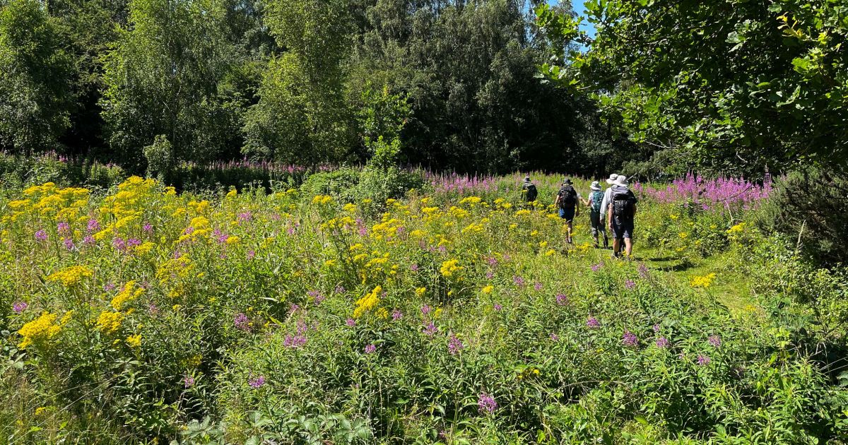 Vernham Dean circular via The Chutes. - Ramblers