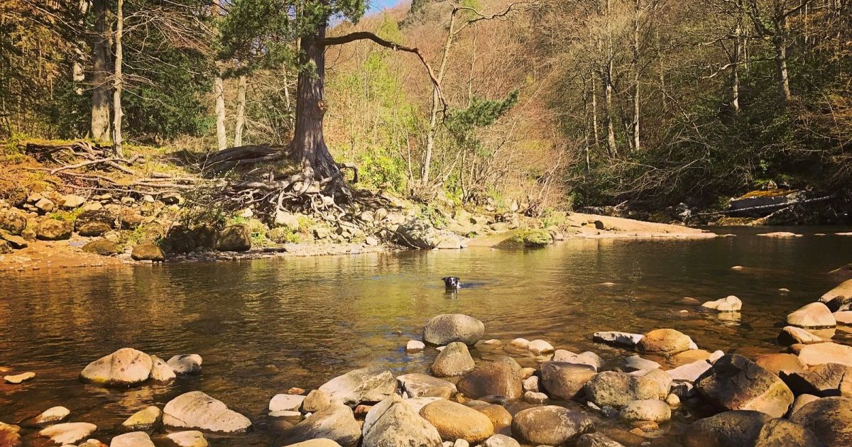 Cupola Bridge to Plankey Mill via Staward Gorge - Ramblers
