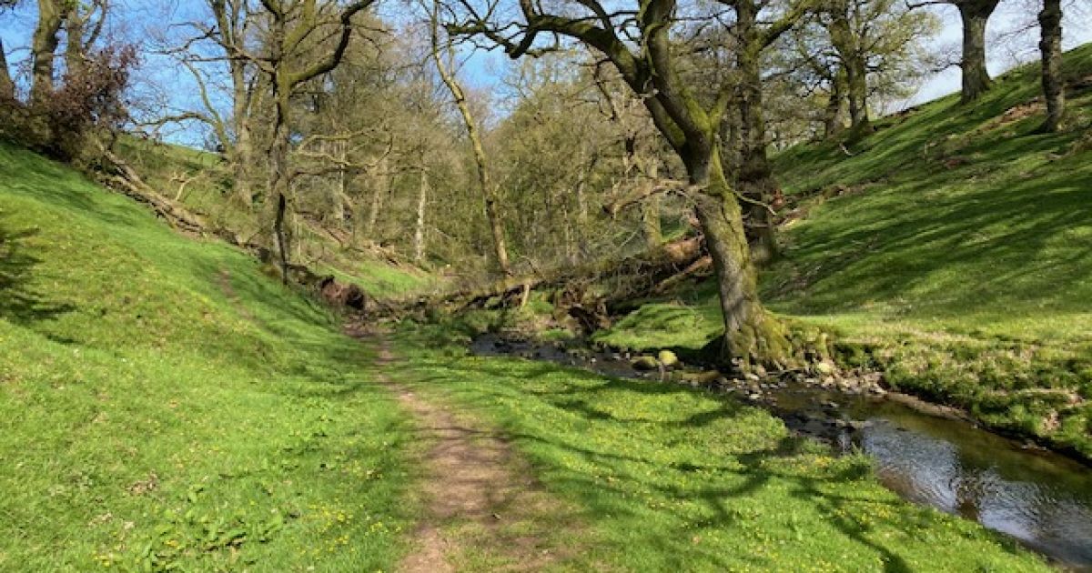 Dufton Ghyll to Flakebidge Wood Loop - Ramblers