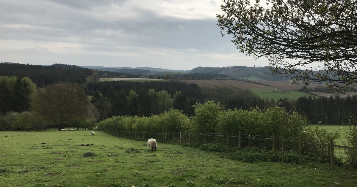 Cropton circular - Ramblers