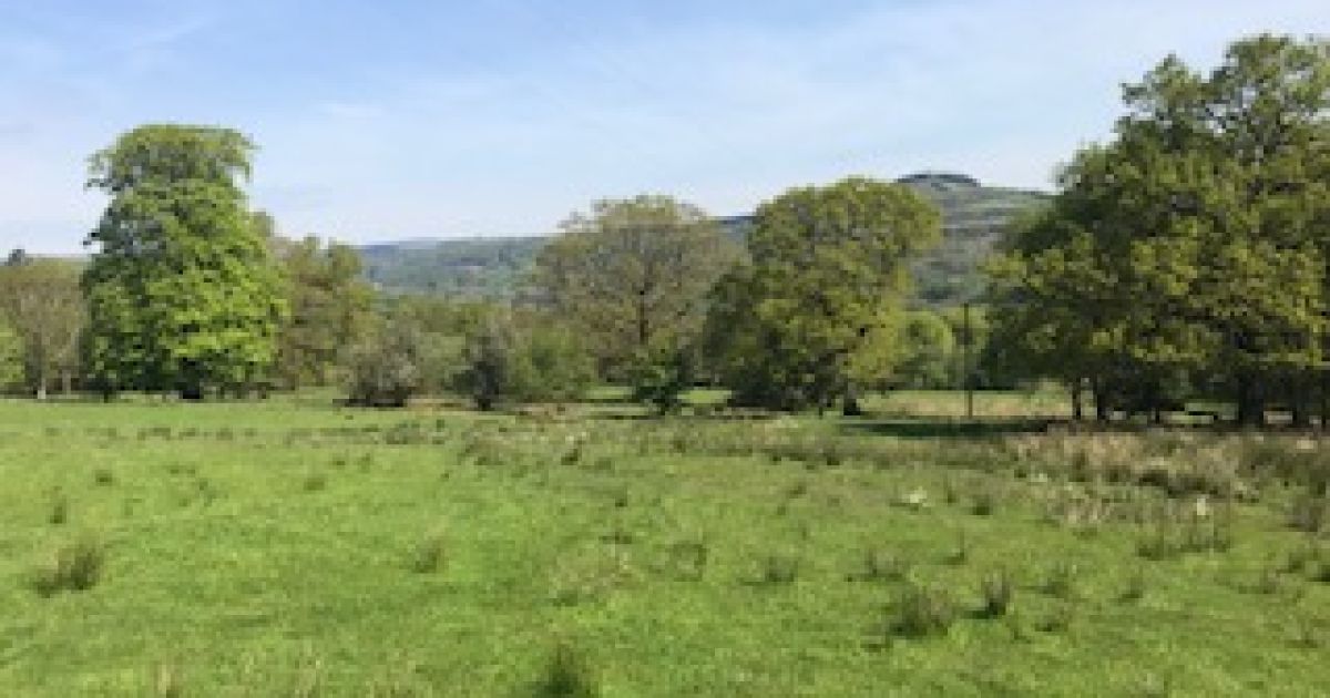 Pontypridd circular walk. - Ramblers