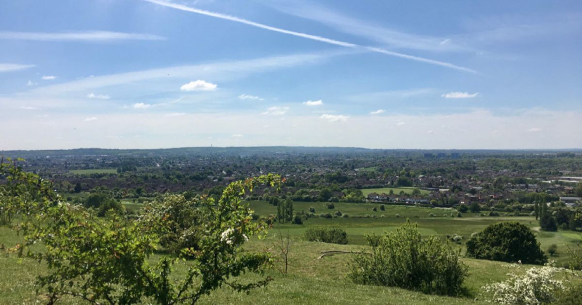 Exploring the Chiltern Way! (14 miles / 22.5km - Moderate, Booking ...