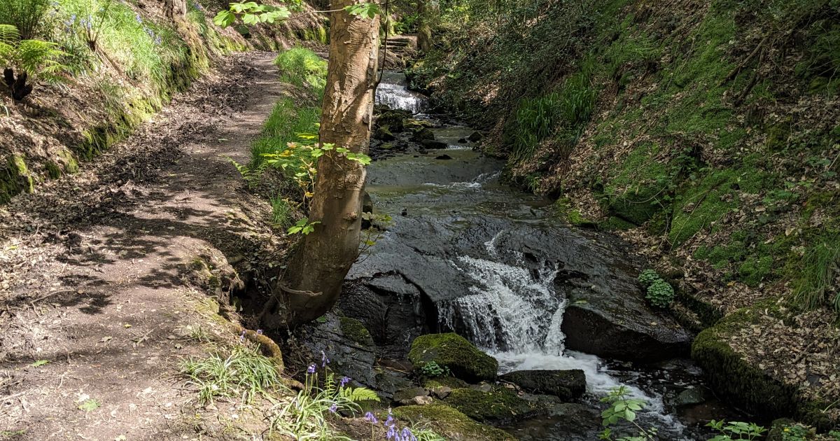 Biddulph Park, Troughstones, Nick i' th' Hill 8.3 miles - Ramblers