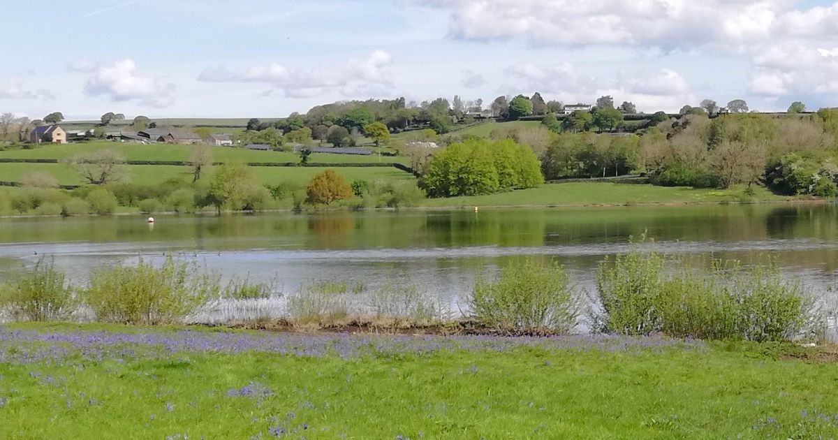 Brackenfield - Ogston round walk - Ramblers