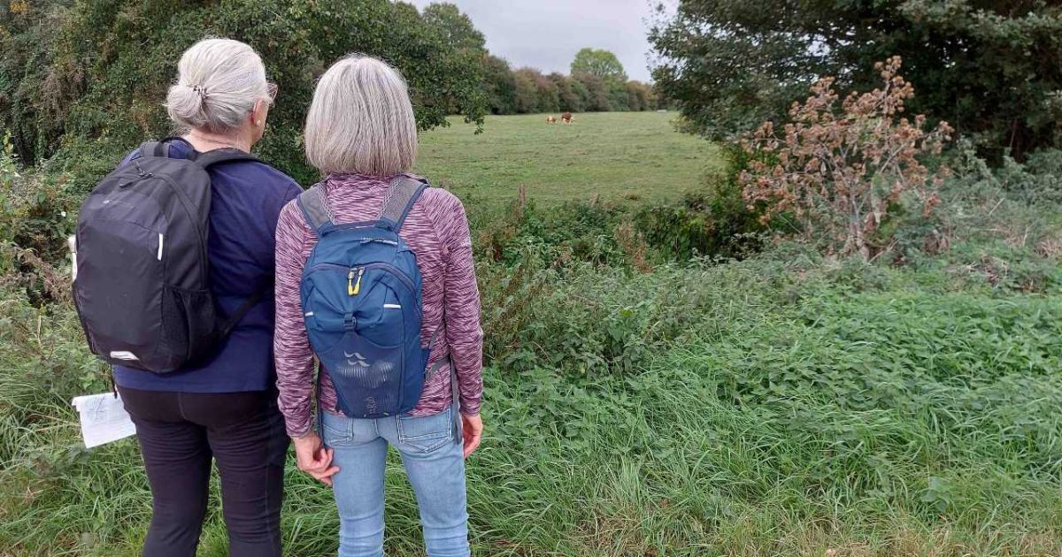 Earith Bridge and Ouse Fen Nature Reserve - Ramblers