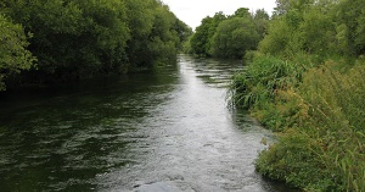 Evening Walk Avington and the Itchen Valley - Ramblers