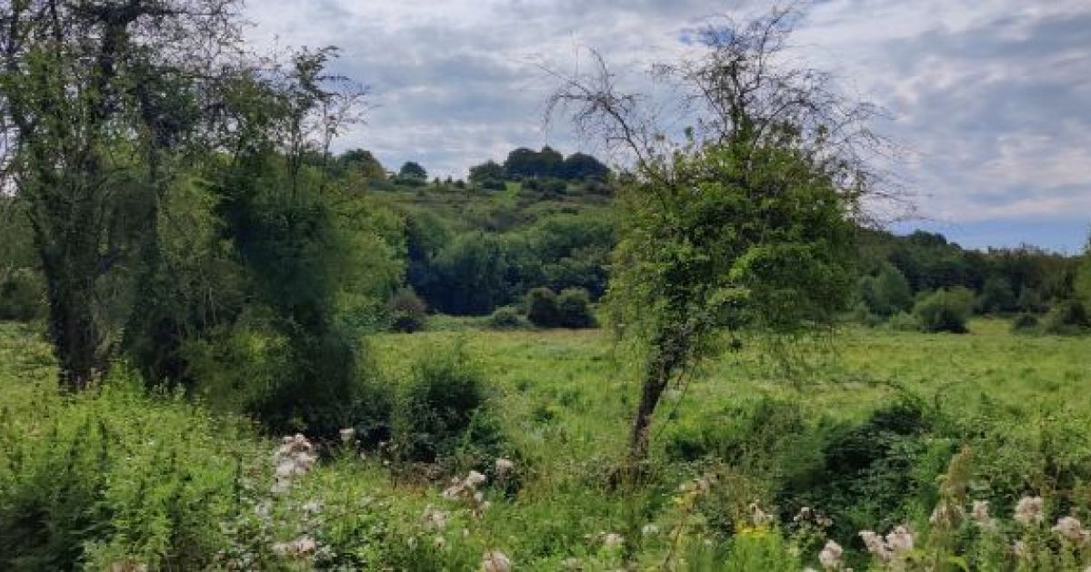 5-6 Cheriton - Ramblers