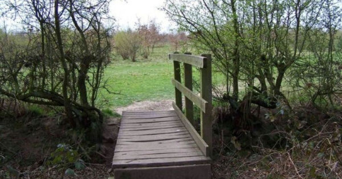 Pipe Hall Farm (Burntwood, Staffs.) 4.5m 08/06/24 - Ramblers