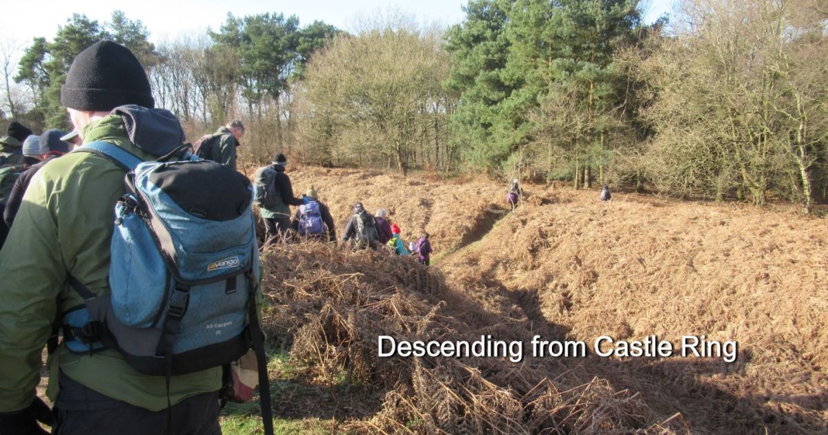 Short Evening Walk from Castle Ring, Cannock Wood, Staffordshire - Ramblers