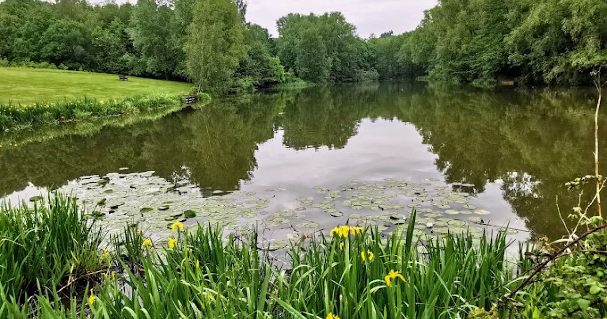 Highwoods Country Park - Colchester - Walk My Way - Ramblers