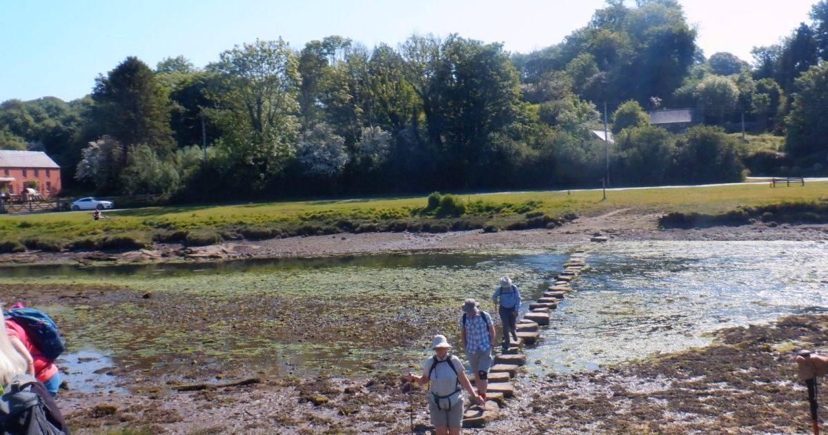 Cresswell Quay and Lawrenny circular walk - Ramblers