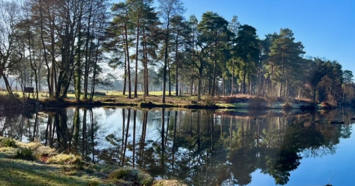 Hankley Common from Tilford - Ramblers