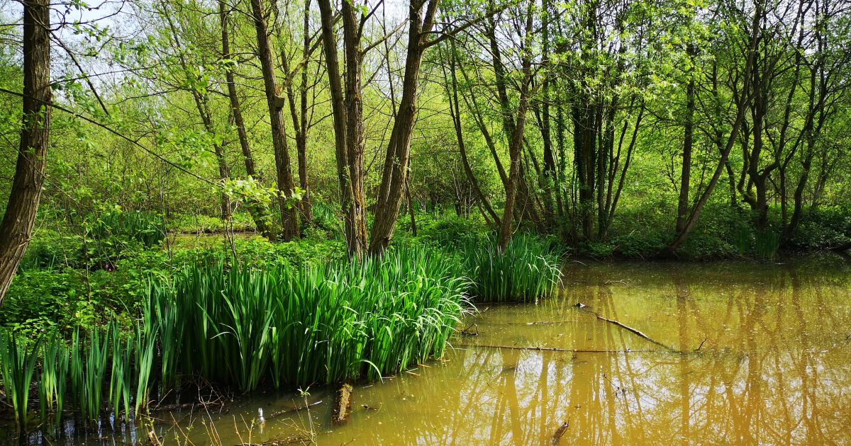 Heald Green station to Gatley station via various green spaces. - Ramblers