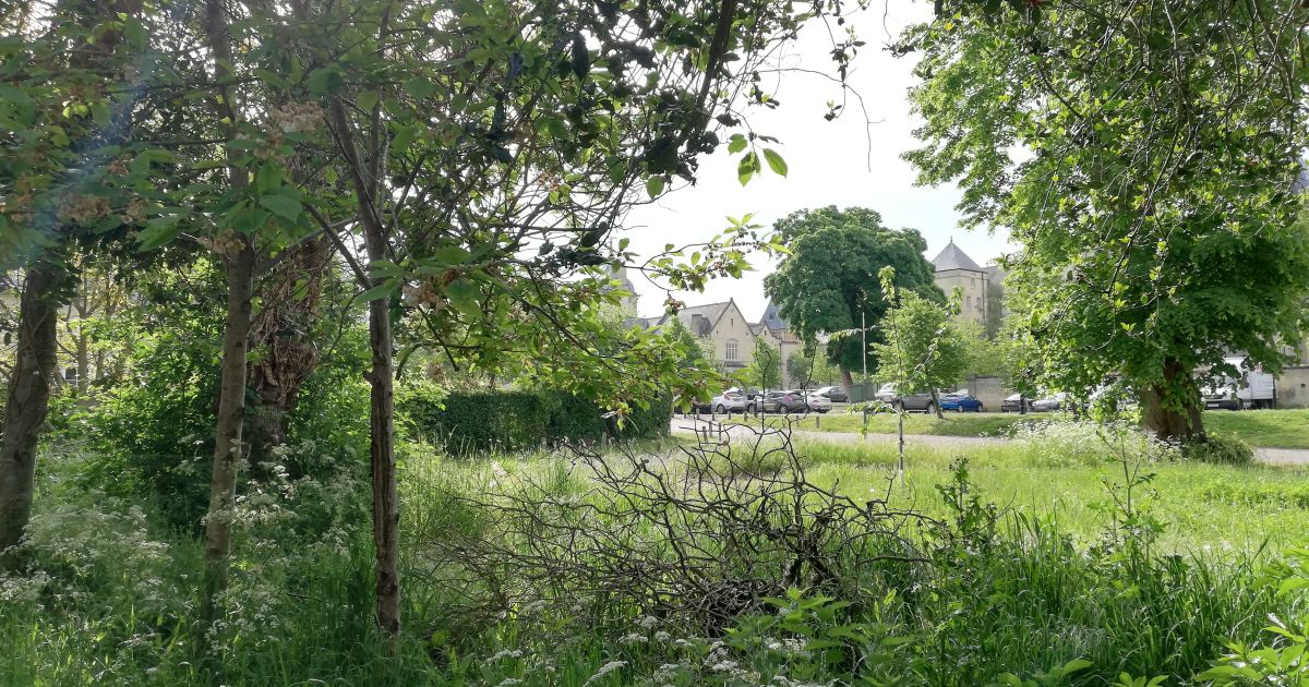 Fairfield Circular Walk (6 miles/10km - Easy, Booking Required) - Ramblers