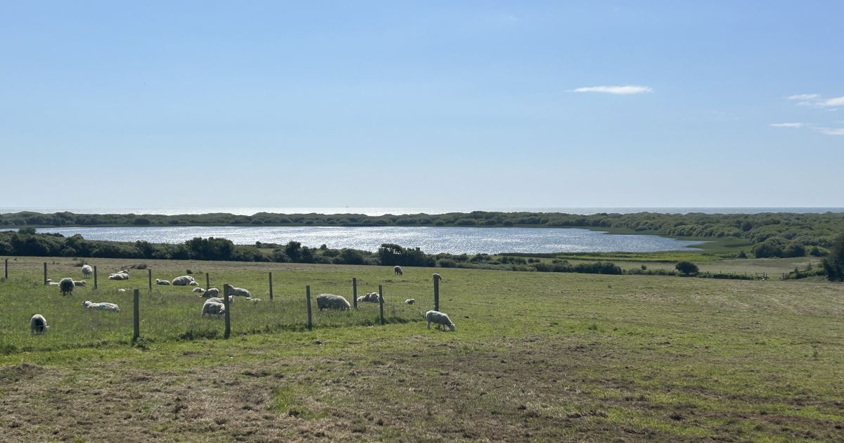 Kenfig Nature Reserve Circular - Ramblers