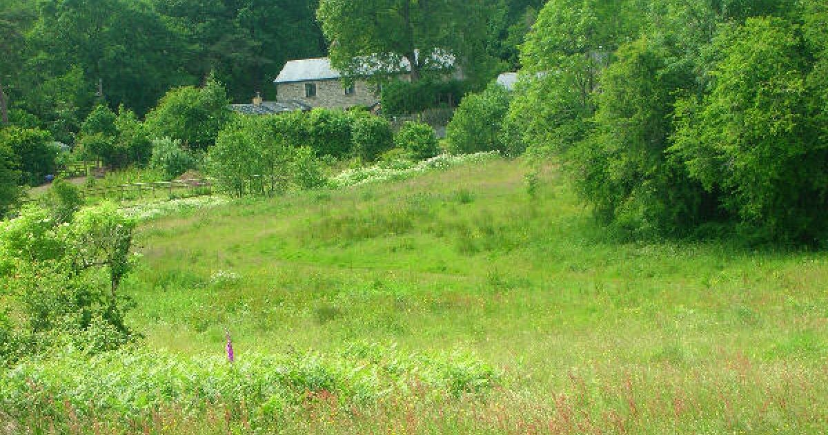 Ivor Park and Coed Trecastell - Ramblers