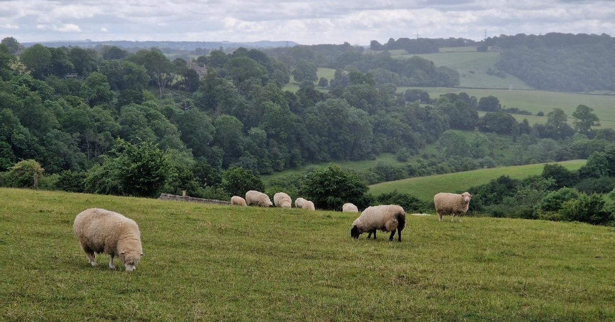 A walk from Colerne to Slaughterford with outstanding views of the far ...