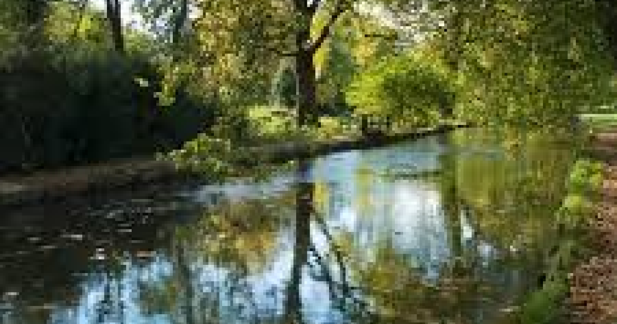 Lockerley/Mottisfont Circular - Ramblers