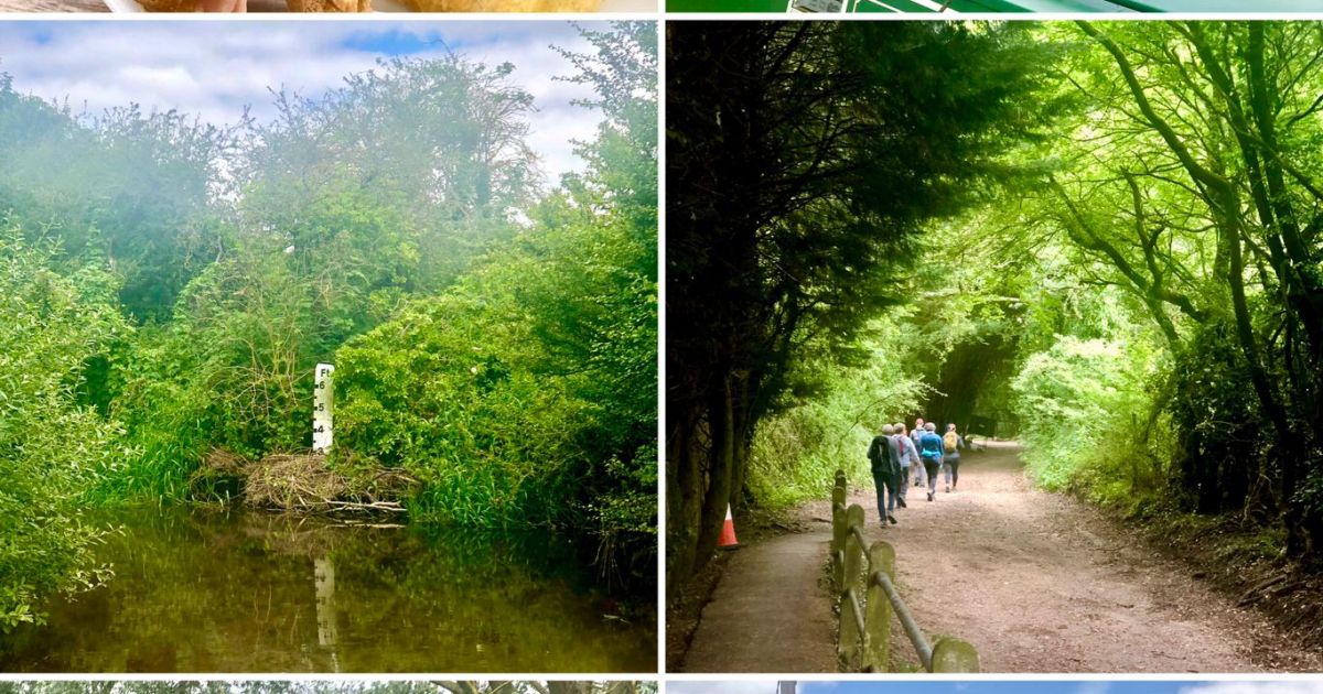 Paper Mill Lock (Figure of 8) - Ramblers