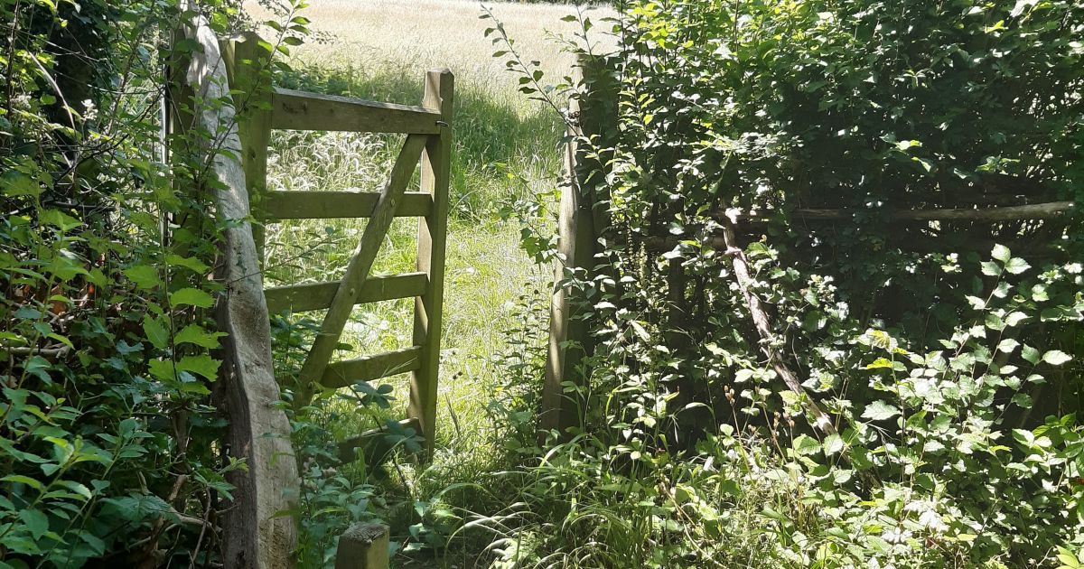 Joint Walk with the London Blind Ramblers: Perivale Wood, Paradise ...